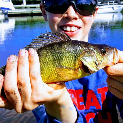 Hooked On Fishing: A Newbie's Guide To Angling Success | New To Fishing ...